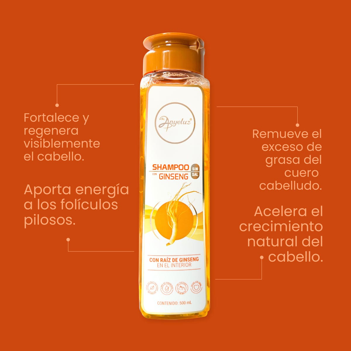 Shampoo con Ginseng Anyeluz en Cali - La Koleccion, Belleza, Actitud y ...